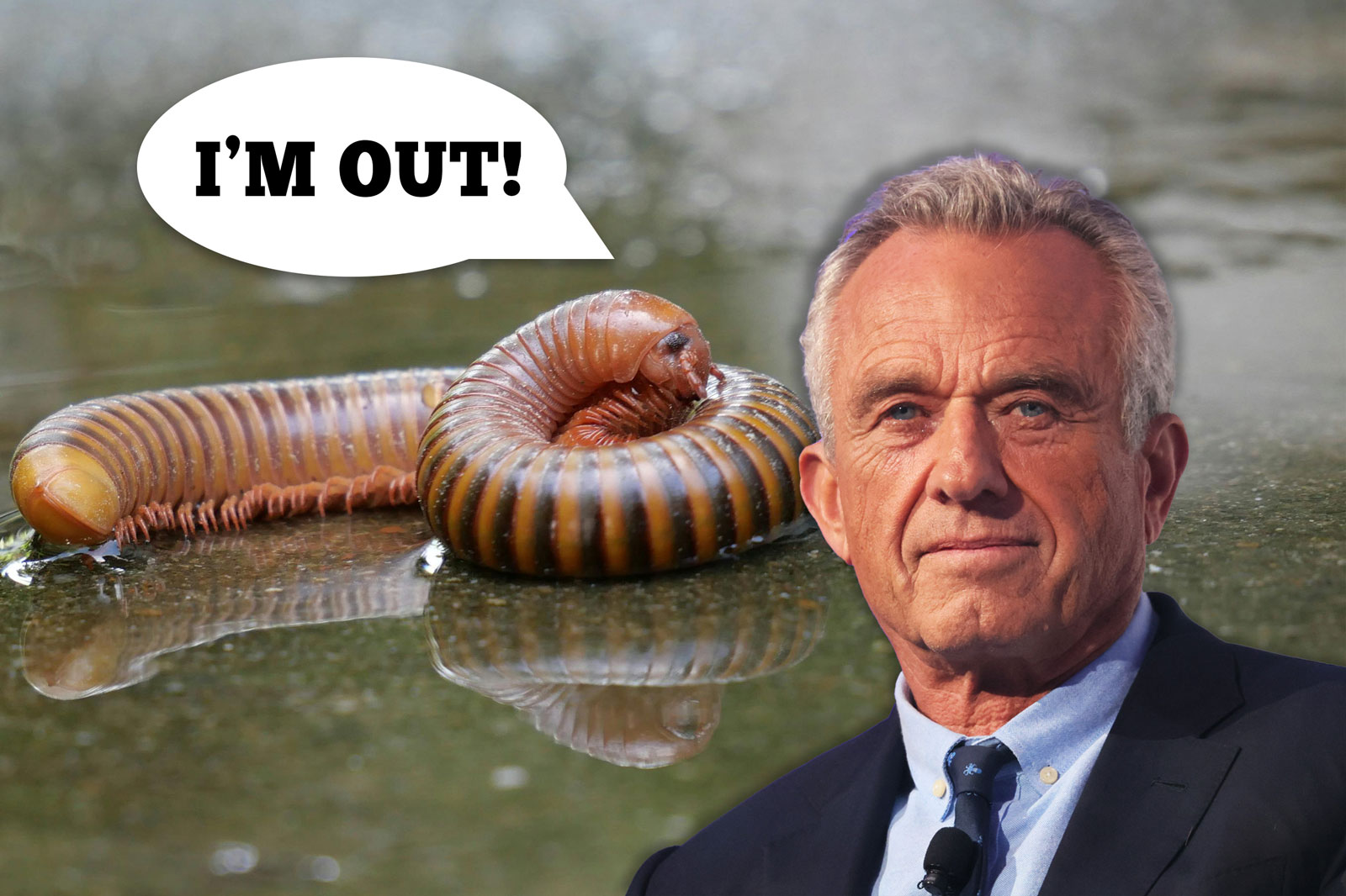 RFK Jr.’s brain worm drops out of presidential race – Alpine 6 Action News